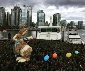 Dockside Vancouver - Dockside Seafood Restauraunt